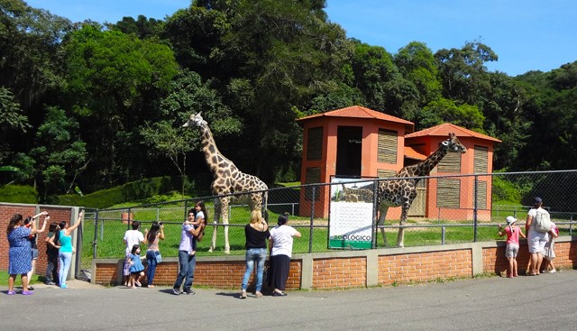 Zoo de Curitiba recebe visitantes sem agendamento, mas com limite de ...
